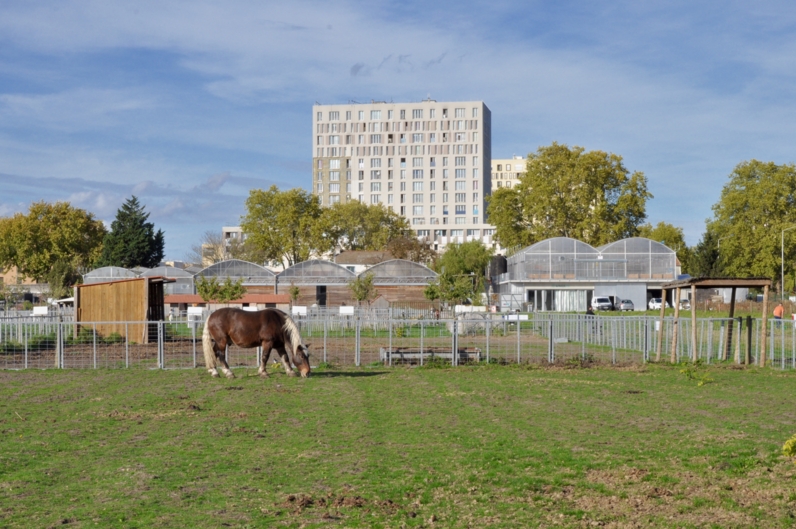 Visite de la ferme ouverte de Gally à Saint-Denis