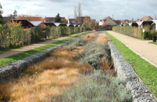 Le parc des Lilas, un exemple de conception collaborative de paysage ...
