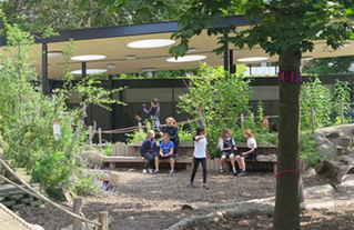 Webinaire sur les Cours Oasis