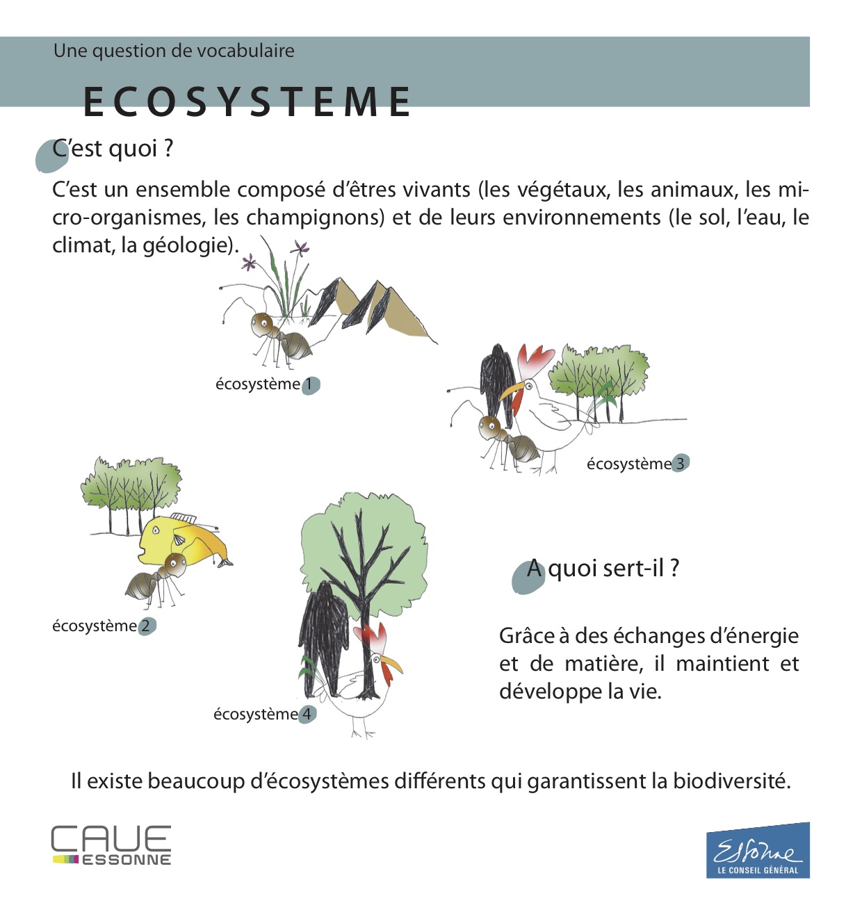 Le jardin écologique
